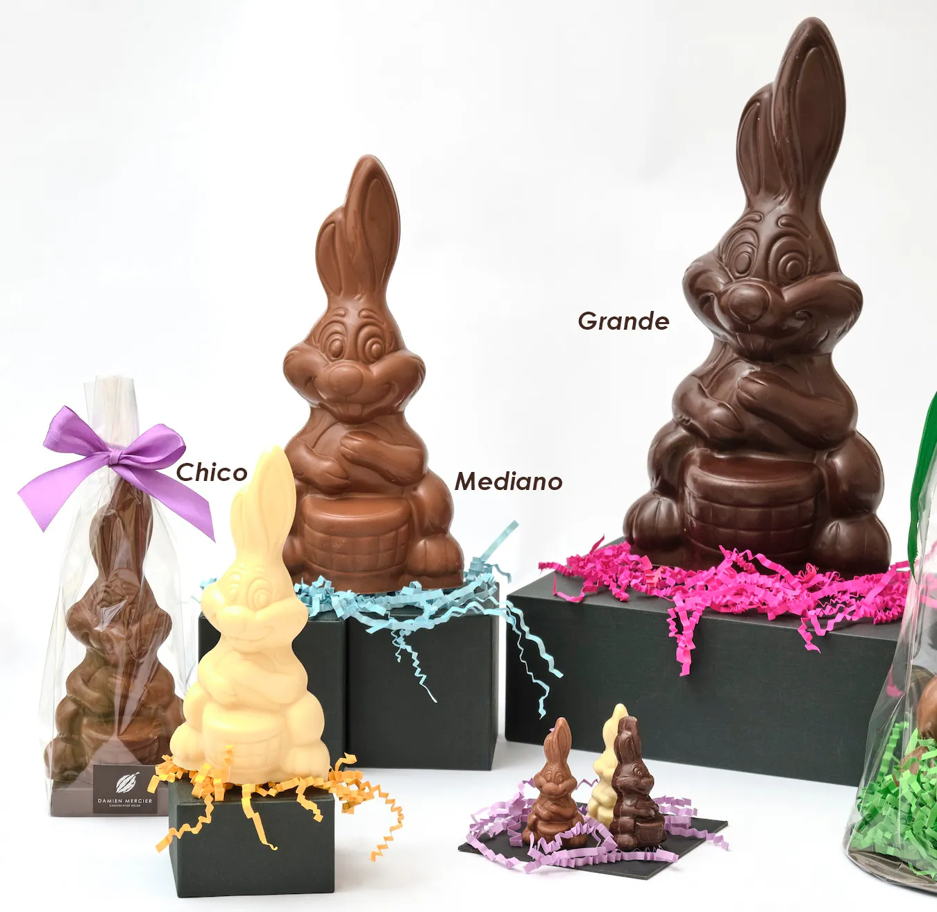 Conejo de chocolate mediano - Damien Mercier - Chocolatier Belge ...