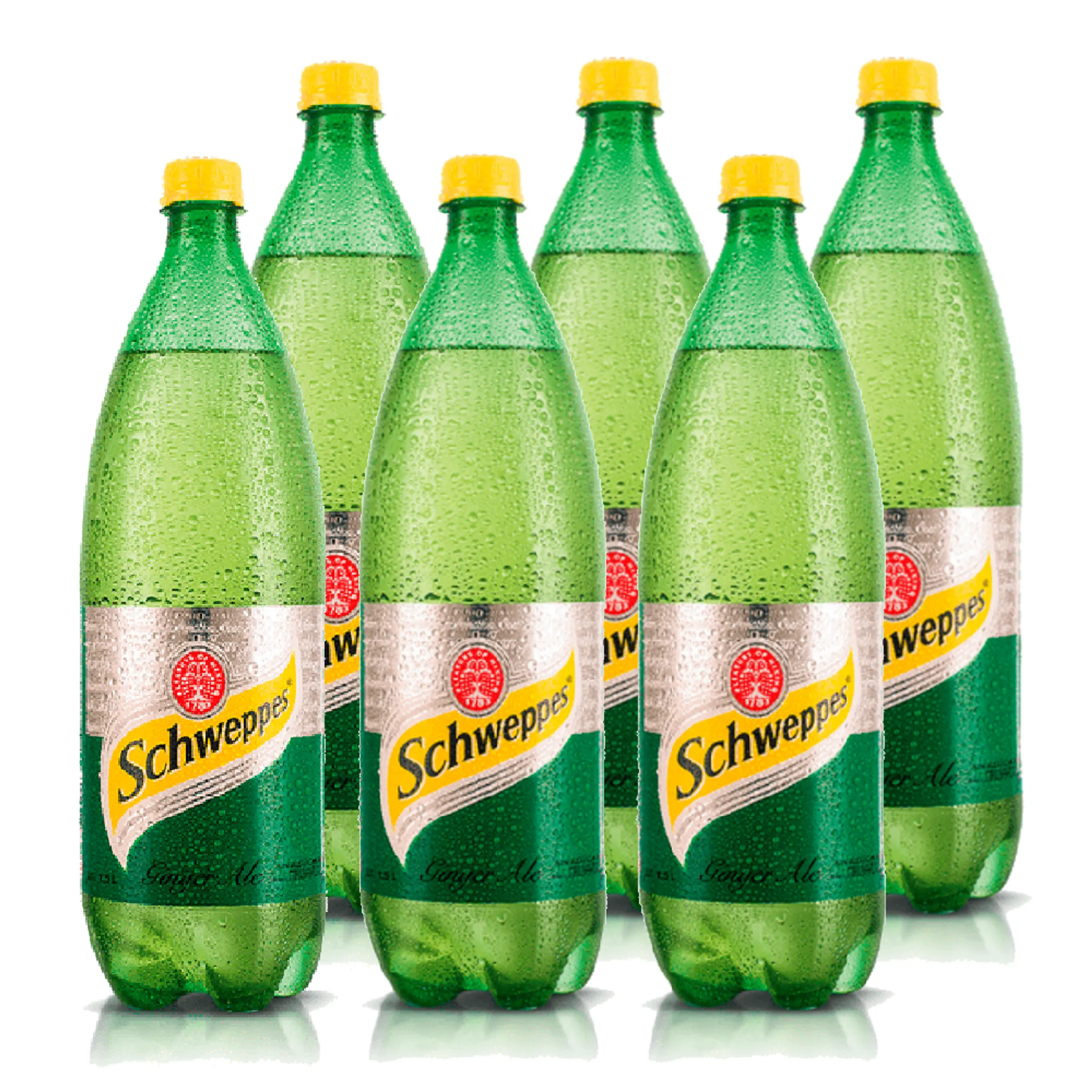 Pack (6 Schweppes Ginger Ale x 1.5 Lt) - Tambo | Cada vez más cerca