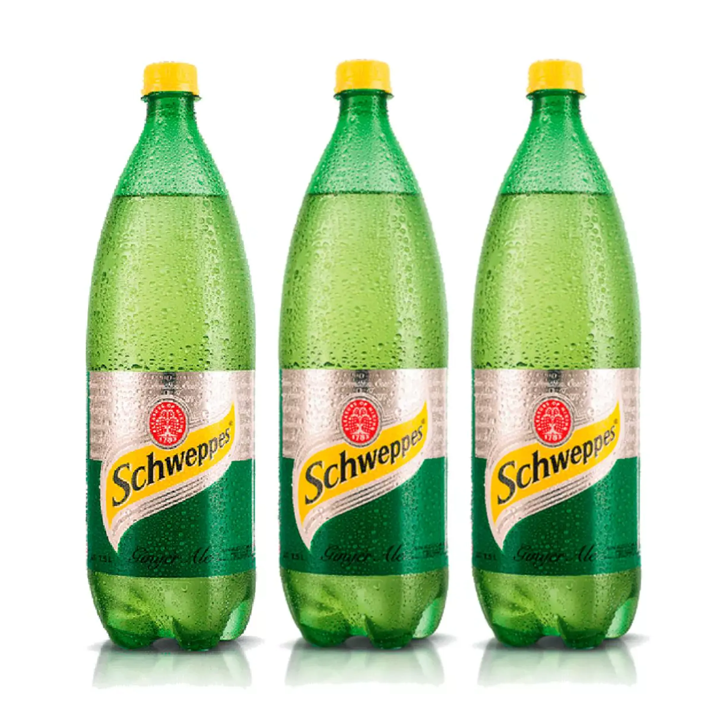 Pack (3 Schweppes Ginger Ale x 1.5 Lt) - Tambo | Cada vez más cerca