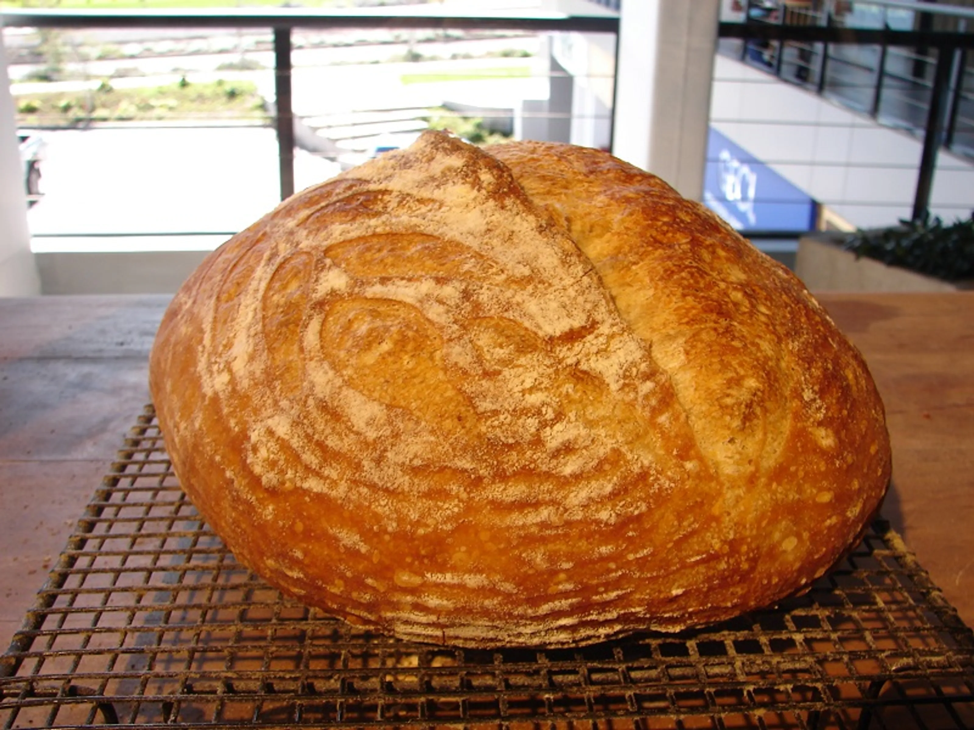 Pan Masa Madre Blanco - Divino Pan | Pide online