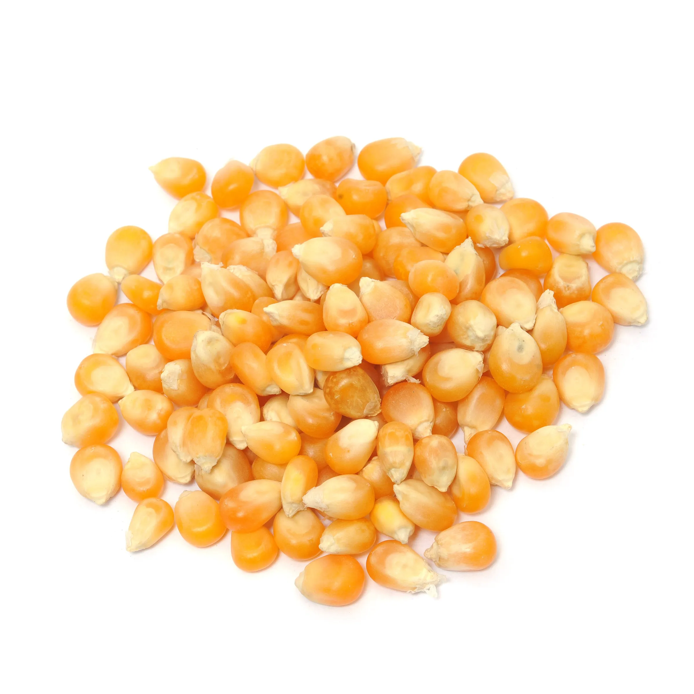 Maiz curagua, 1 kg - Bastien - Un mundo de productos y sabores hechos ...