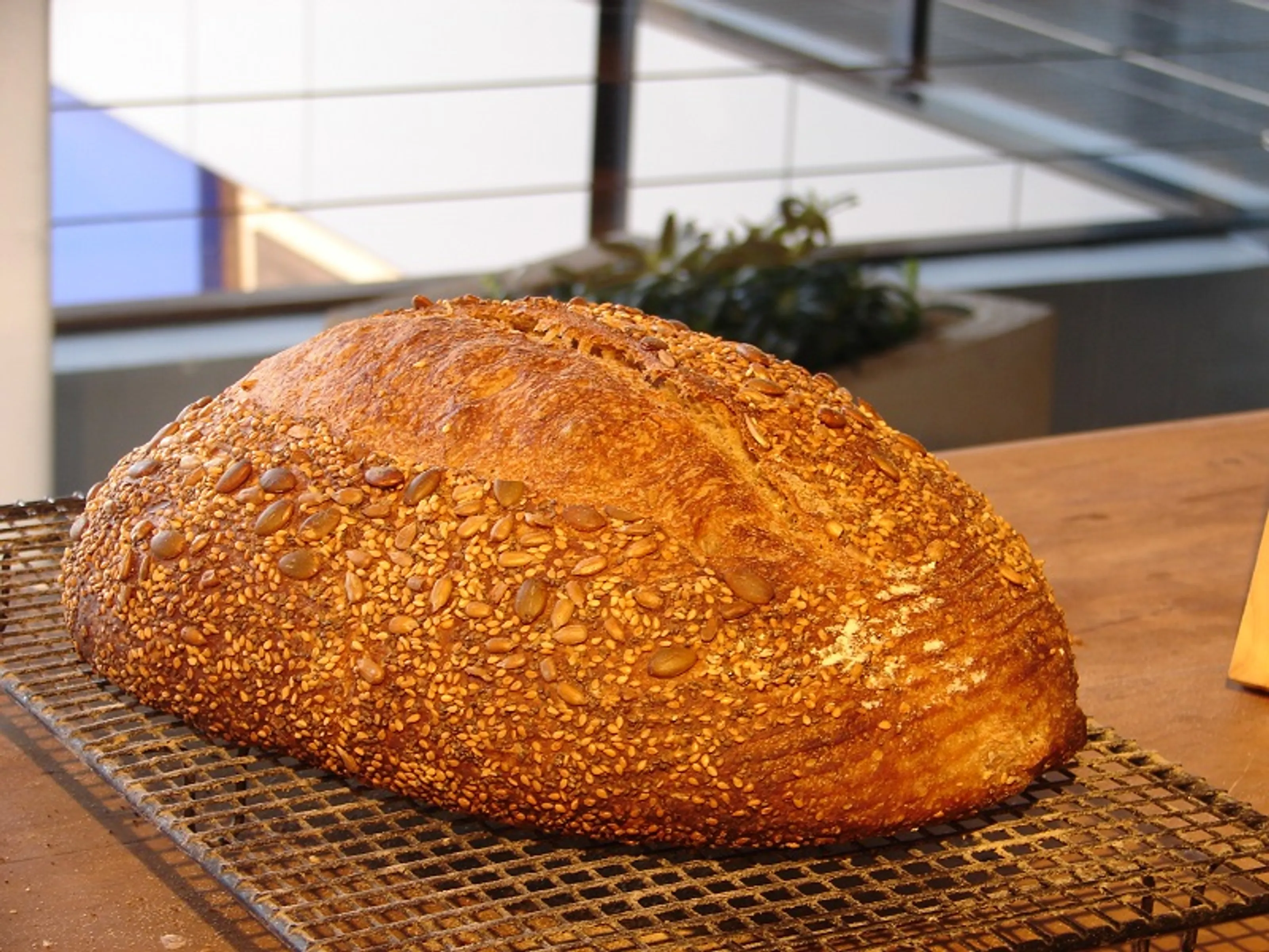 Pan Masa Madre Integral Semillas - Divino Pan | Pide online