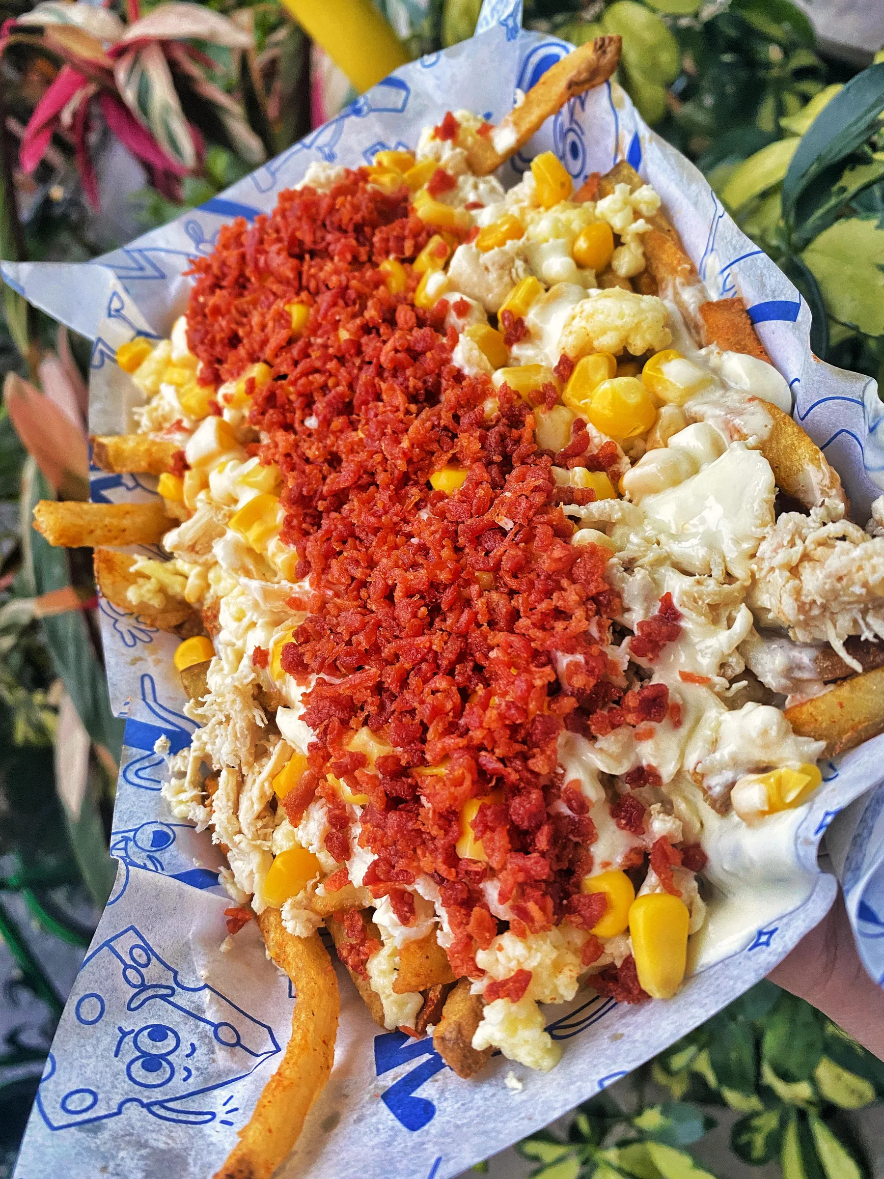 Pollo - Capira Papitas | Ordena online