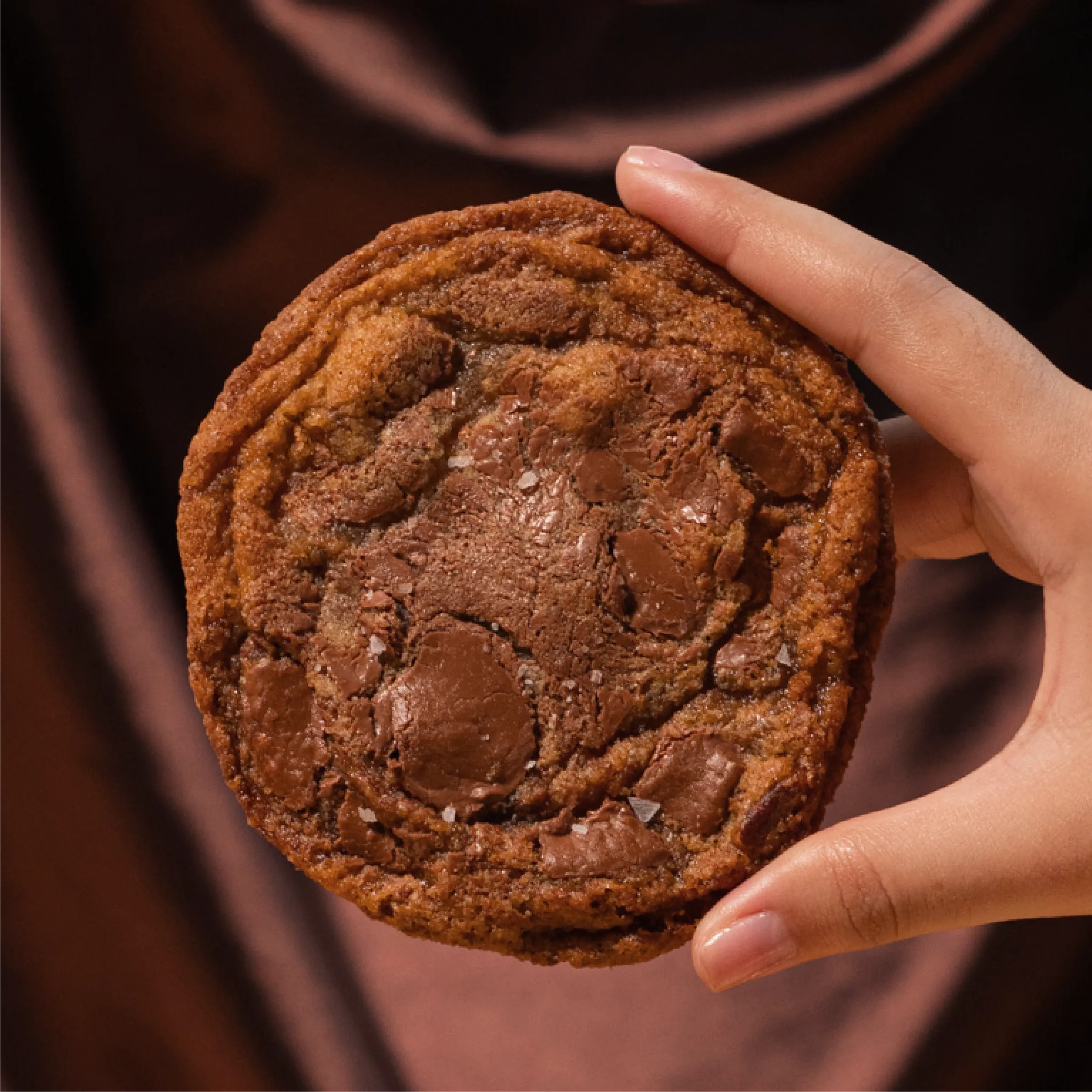 Thin Chocolate Pecan Crunch - braun cookies | galletas & soft serve