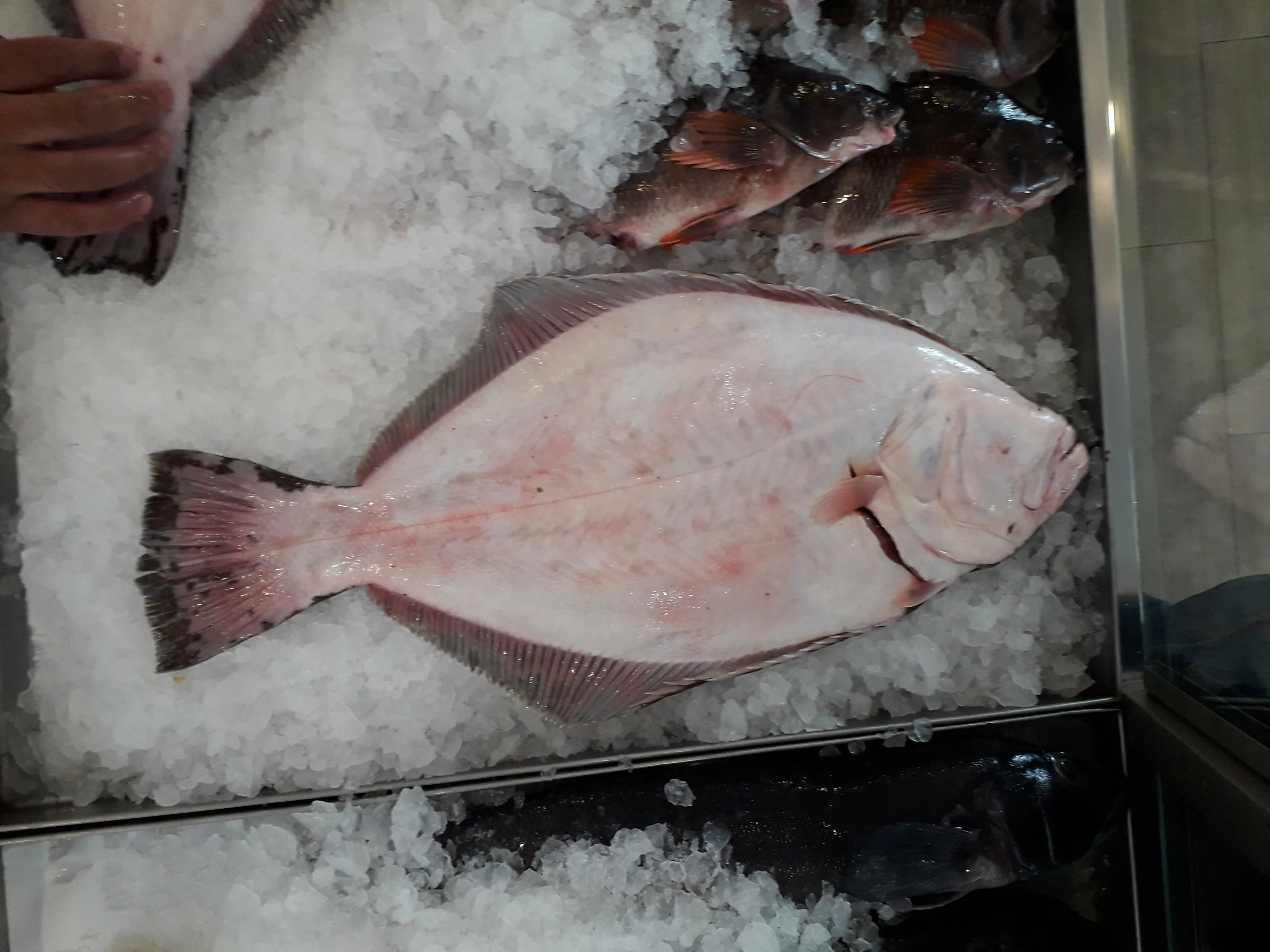 Filete Lenguado Fresco 1 k. - Puerto de Palos | PESCADERÍA Y COMIDA AL PASO
