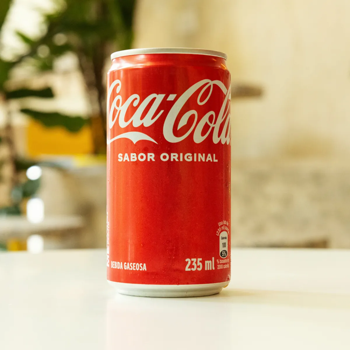 Coca Cola Lata 235 Ml Factory Store | www.oceanproperty.co.th