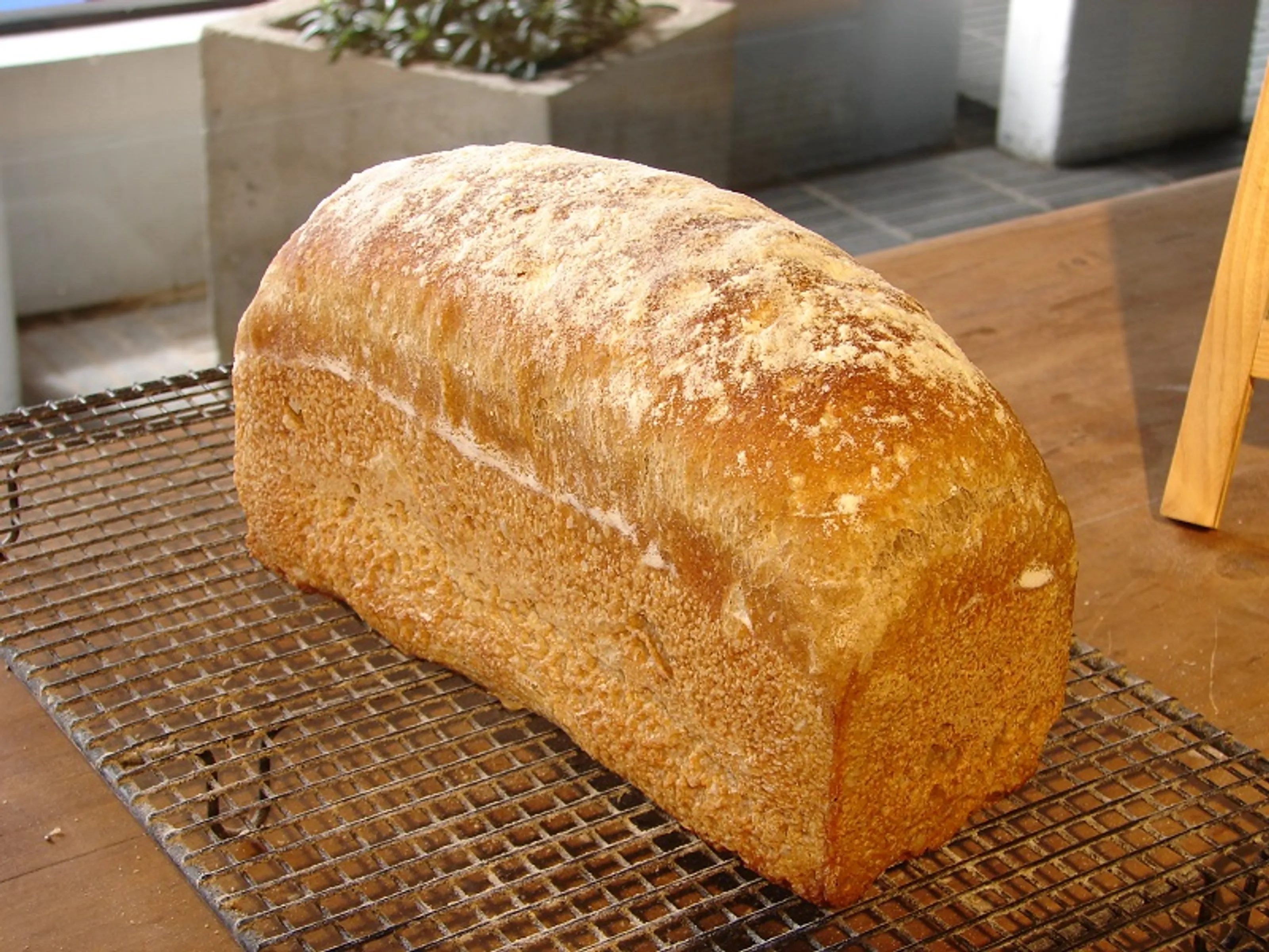 Pan de Molde Masa Madre Integral - Divino Pan | Pide online