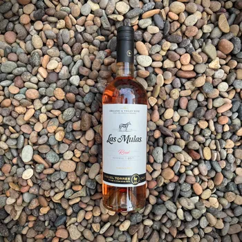 Bocanáriz - Restaurante & Wine bar